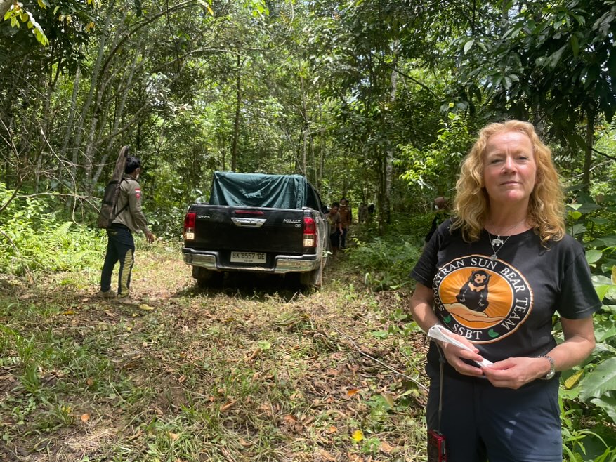 HERCULES IS RELEASED – Sumatran Sun Bear Team